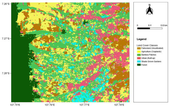 Land | Free Full-Text | Habitat Use, Terrestriality and Feeding ...