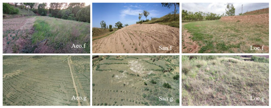 Restoration of Grassland Improves Soil Infiltration Capacity in Water ...
