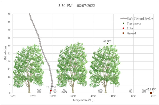 Thermal Comfort Assessment in Urban Green Spaces: Contribution of ...