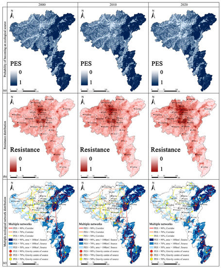 Multiple Probability Ecological Network and County-Scale Management
