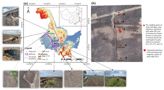 Spatial Properties of Soil Physical Quality Index S in Black Soil Croplands under Permanent ...