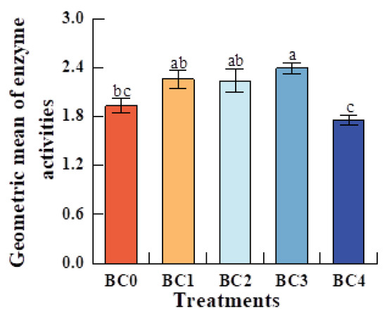 Biochar Aged for Five Years Altered Carbon Fractions and Enzyme ...