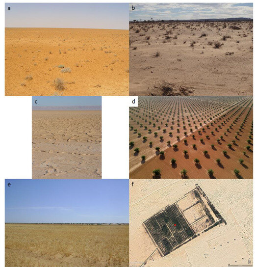 Impact of Land Cover on Wind Erosion in Arid Regions: A Case Study in ...