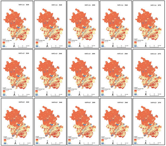 Spatial and Temporal Variability Characteristics of Future Carbon ...