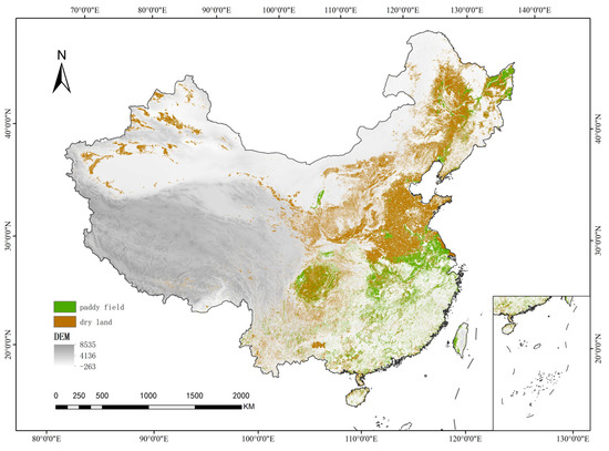 Can We Prevent Irreversible Decline? A Comprehensive Analysis of ...