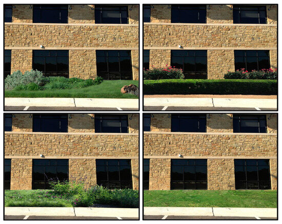 High-Performance Landscapes: Re-Thinking Design and Management Choices ...