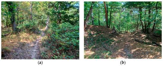 Land | Free Full-Text | The Impact of Past Human Activities on the ...