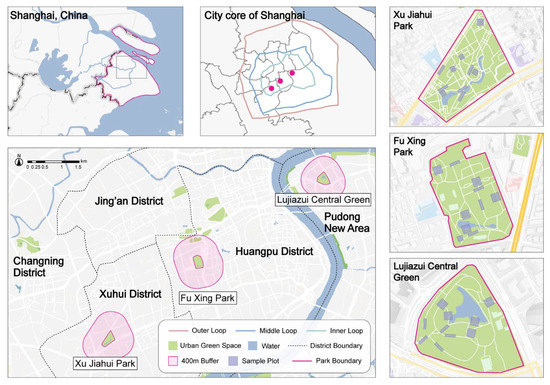 Exploring the Relationship between Urban Park Greenery at Different ...