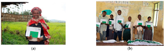 Rethinking the Impact of Land Certification on Tenure Security, Land ...