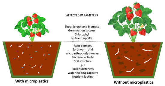 A Comprehensive Review of Plastics in Agricultural Soils: A Case Study ...