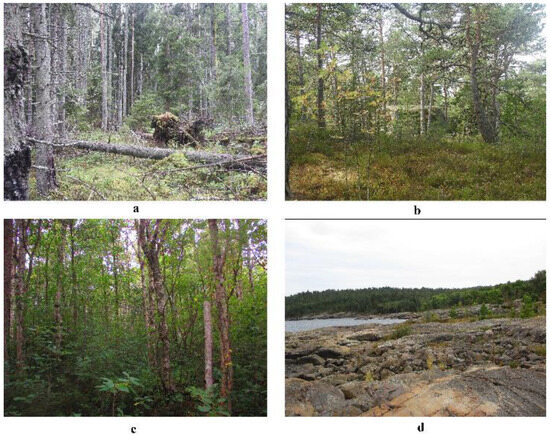 Assessment of the Conservation Value of Abandoned Land on Gogland ...