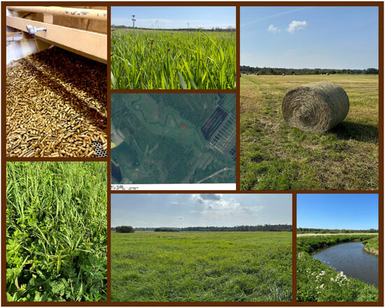 Paludiculture in Latvia—Existing Knowledge and Challenges