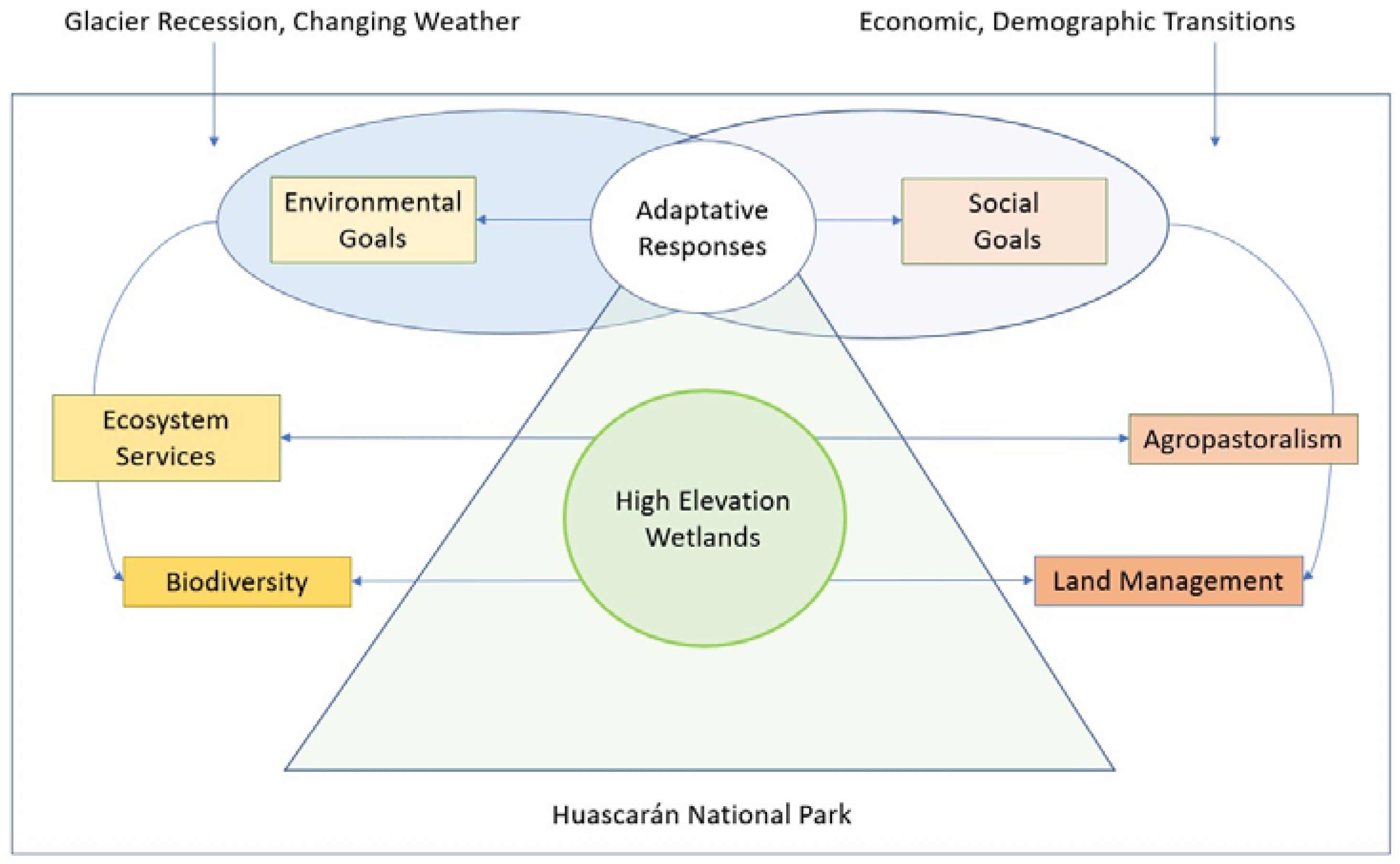 Land | Free Full-Text | Ecological Change and Livestock Governance in a Peruvian National Park