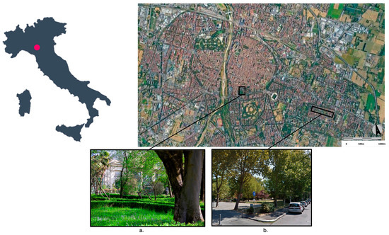The Role of Urban Vegetation in Counteracting Overheating in Different ...