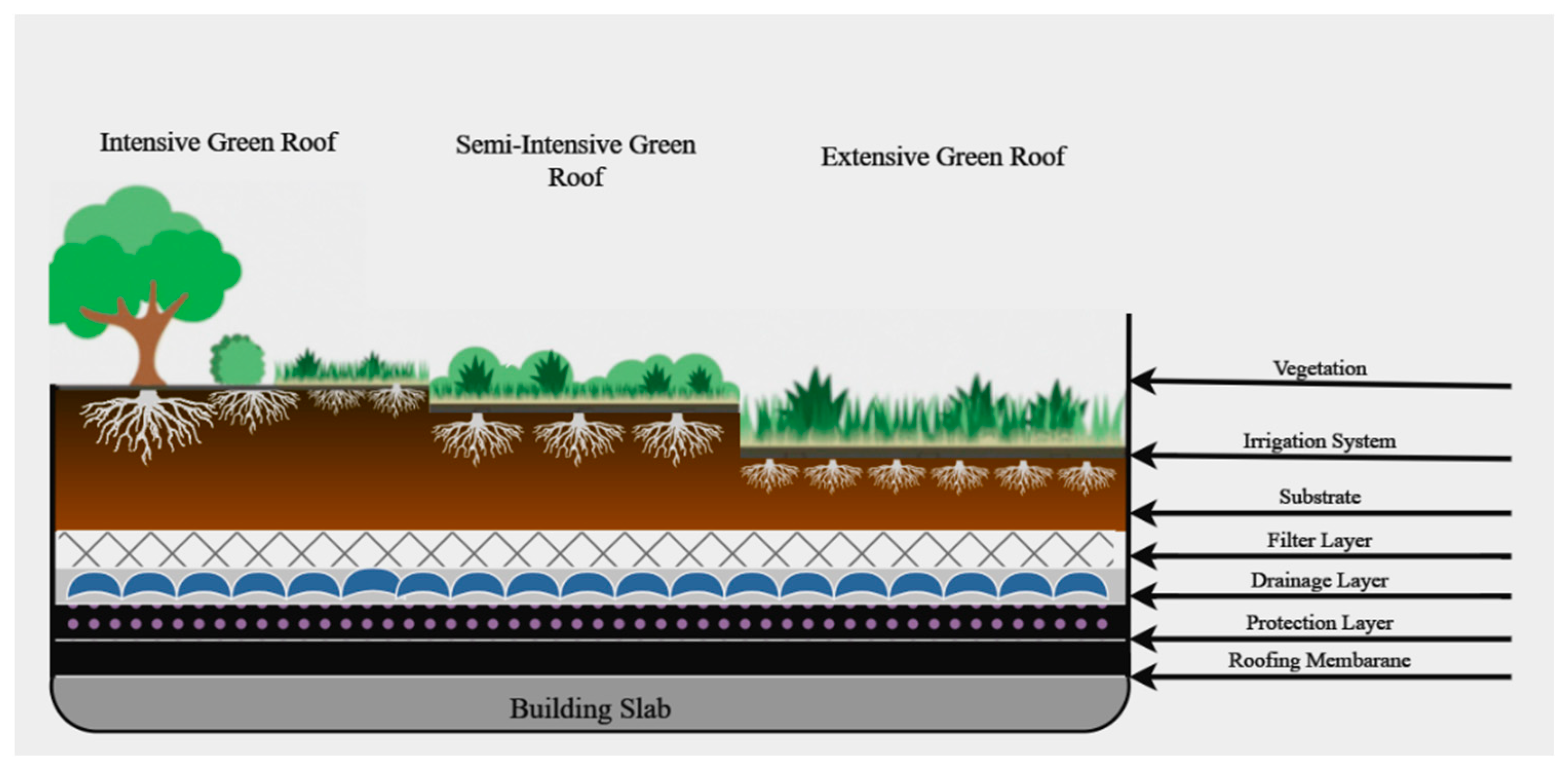 Simulation-Based Study on the Effect of Green Roofs on Summer Energy Performance in Melbourne