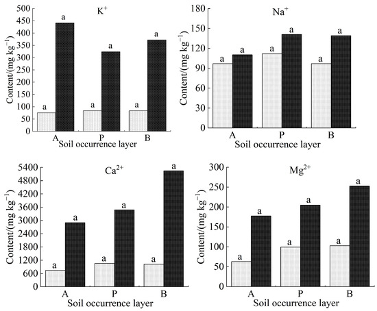 Using Different Extraction Methods to Estimate Soil Salinity and Salt Type Changes and Their ...