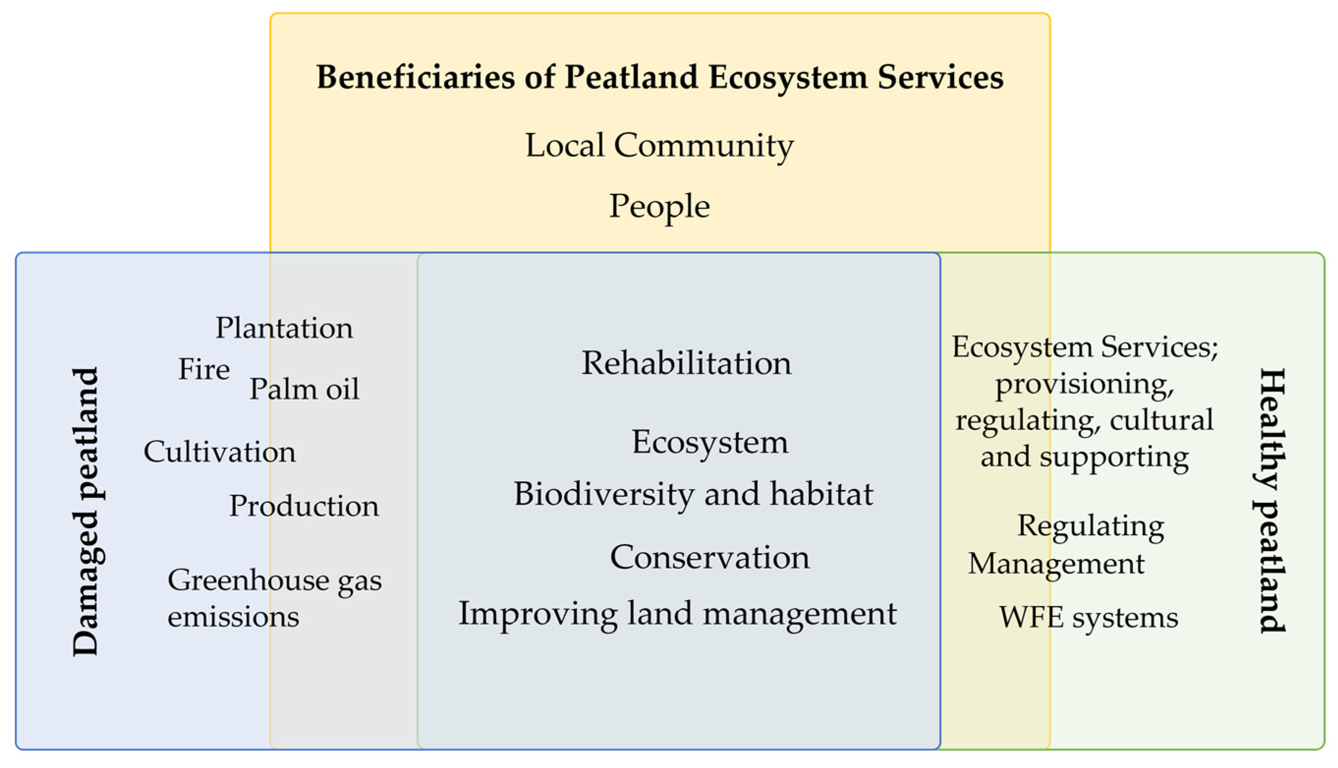 Synthesizing Recent Trends in Interventions and Key Ecosystem Services ...