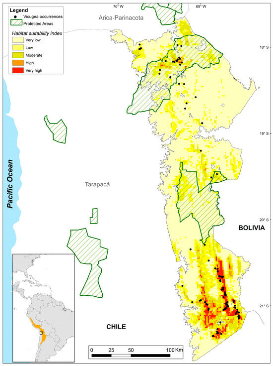 Ecological Connectivity of Vicuña (Vicugna vicugna) in a Remote Area of ...
