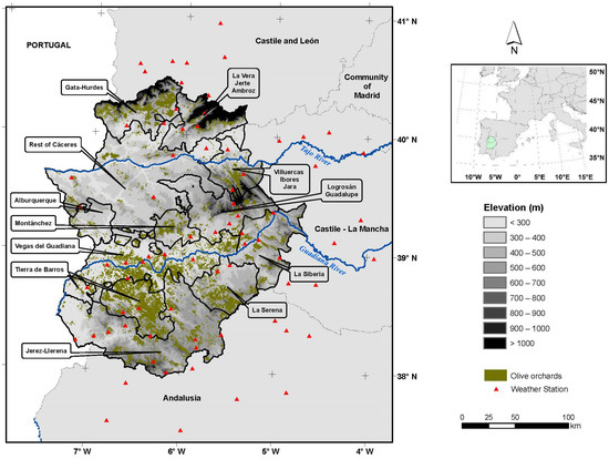 Land | Free Full-Text | Exploring the Climate and Topography of Olive ...