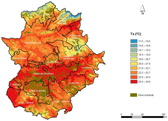 Land | Free Full-Text | Exploring the Climate and Topography of Olive ...