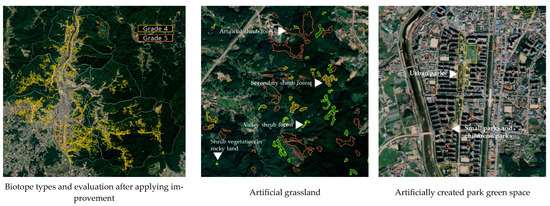 Biotope Map Creation Method and Utilization Plan for Eco-Friendly Urban ...