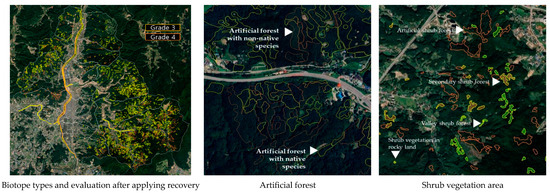 Biotope Map Creation Method and Utilization Plan for Eco-Friendly Urban ...