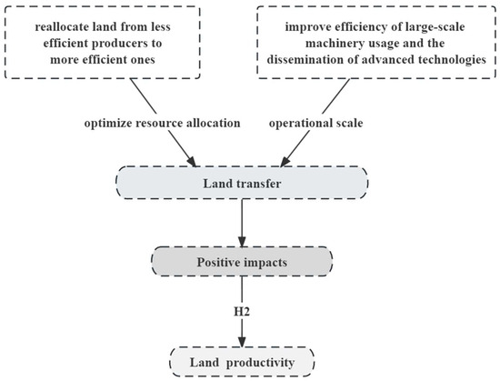 Impacts of Rural–Urban Labour Transfer and Land Transfer on Land ...