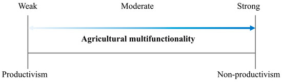Deciphering Land Use Transitions in Rural China: A Functional Perspective