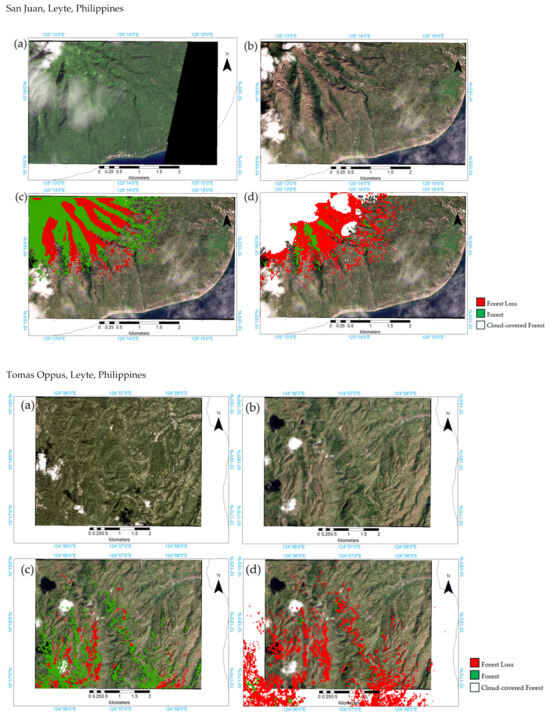 Typhoon-Induced Forest Damage Mapping in the Philippines Using Landsat and PlanetScope Images