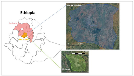 Land Rental Transactions in Ethiopian Peri-Urban Areas: Sex and Other ...