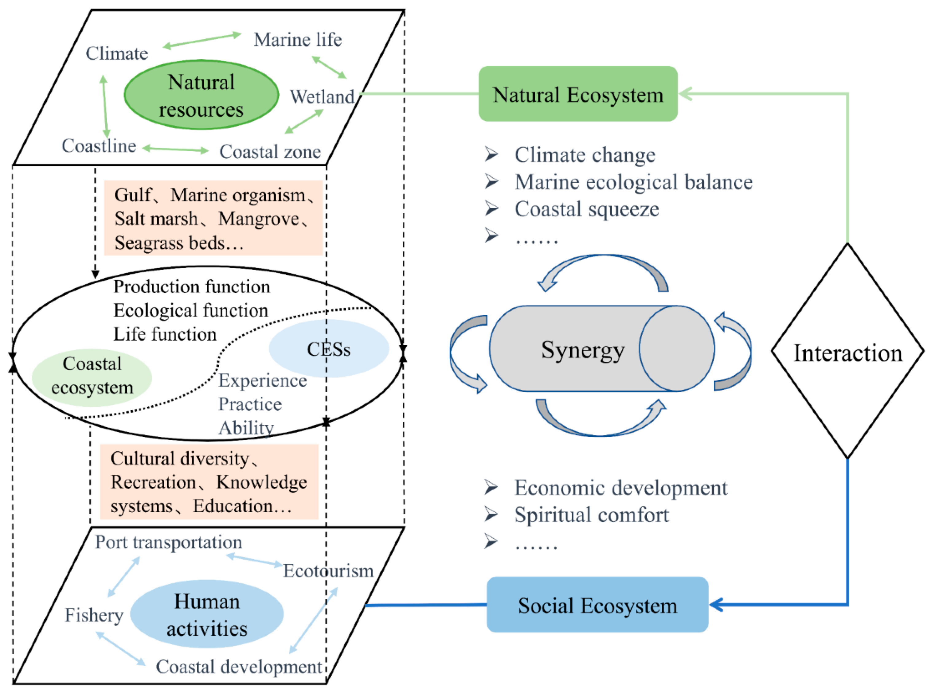Coastal Cultural Ecosystem Services: A Bridge between the Natural ...