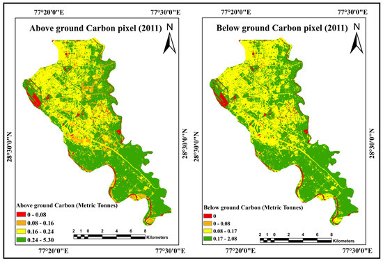 Spatio-Temporal Assessment of Urban Carbon Storage and Its Dynamics ...