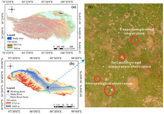 Effects of Patchiness on Soil Properties and Degradation of Alpine ...