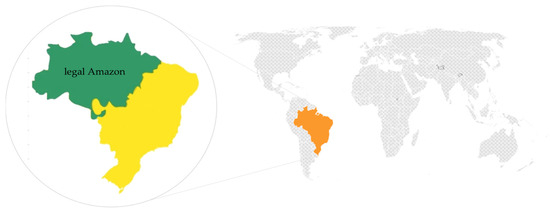 The Intersectionality Between Amazon and Commodities Production: A ...