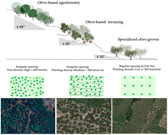 Returning to Integrated Landscape Management as an Approach to ...