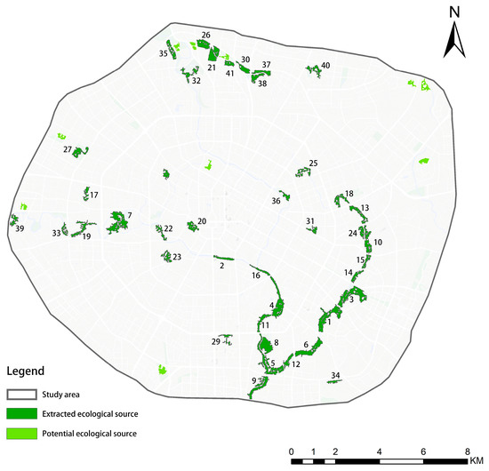 How to Coordinate Urban Ecological Networks and Street Green Space ...