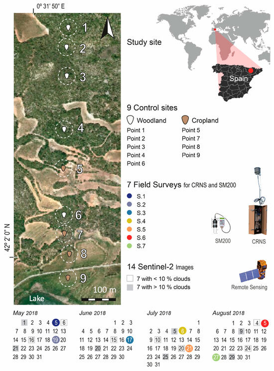 Cosmic-Ray Neutron Sensor Backpack for Assessing Spatial and Temporal ...