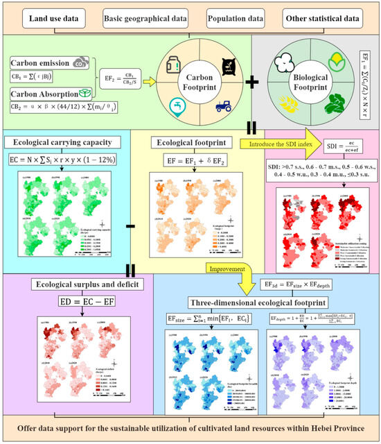 Three-Dimensional Ecological Footprint Assessment of Cropland in ...