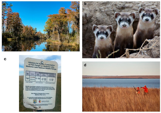 Climate-Driven Alterations in the Mercury Cycle: Implications for ...