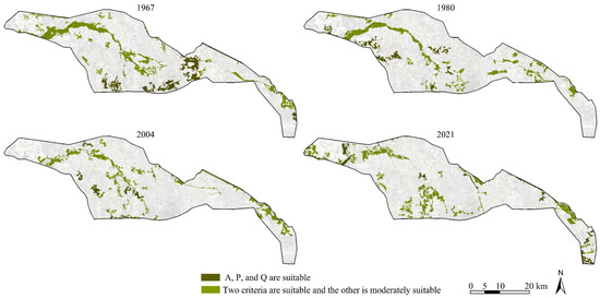 Spatial–Temporal Evolution of Ecological Network Structure During 1967 ...