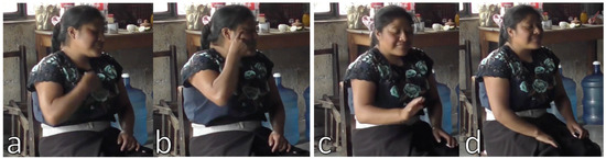 Languages | Free Full-Text | Metalinguistic Discourse in an Emerging ...