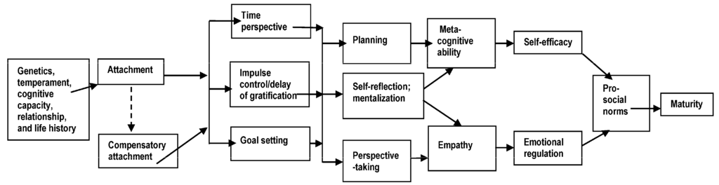 Laws | Special Issue : Development of Juvenile Delinquency