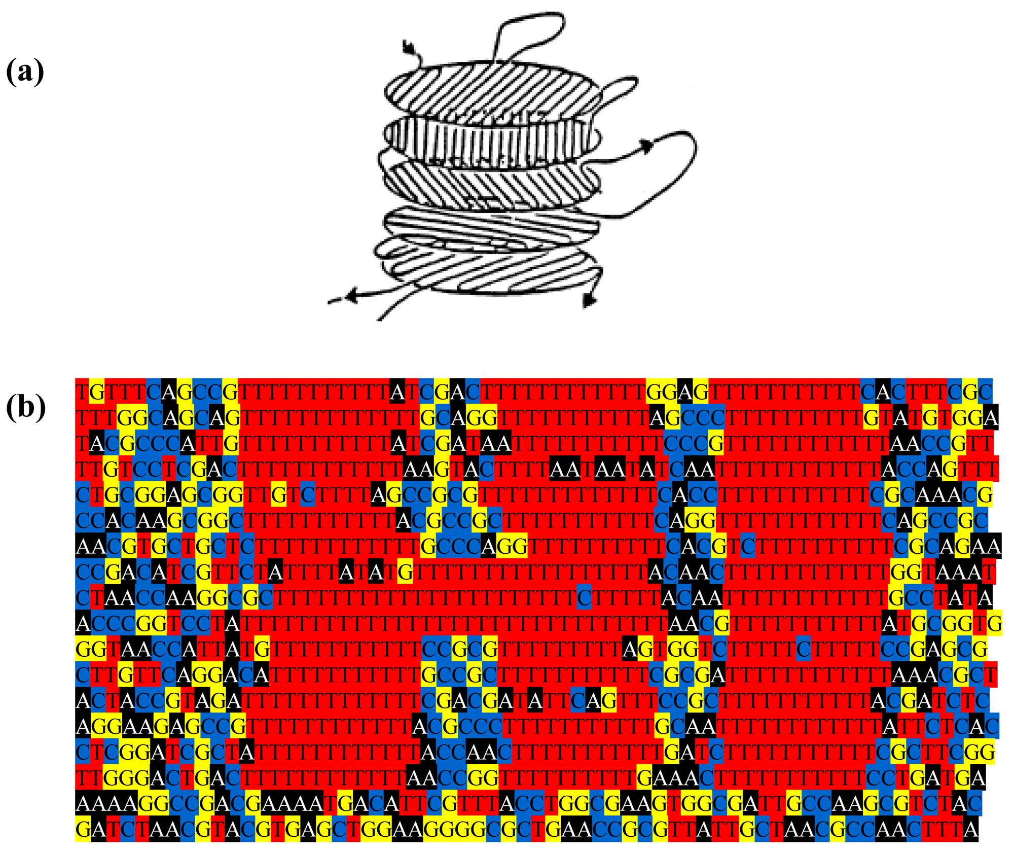 DNA Movies and Panspermia