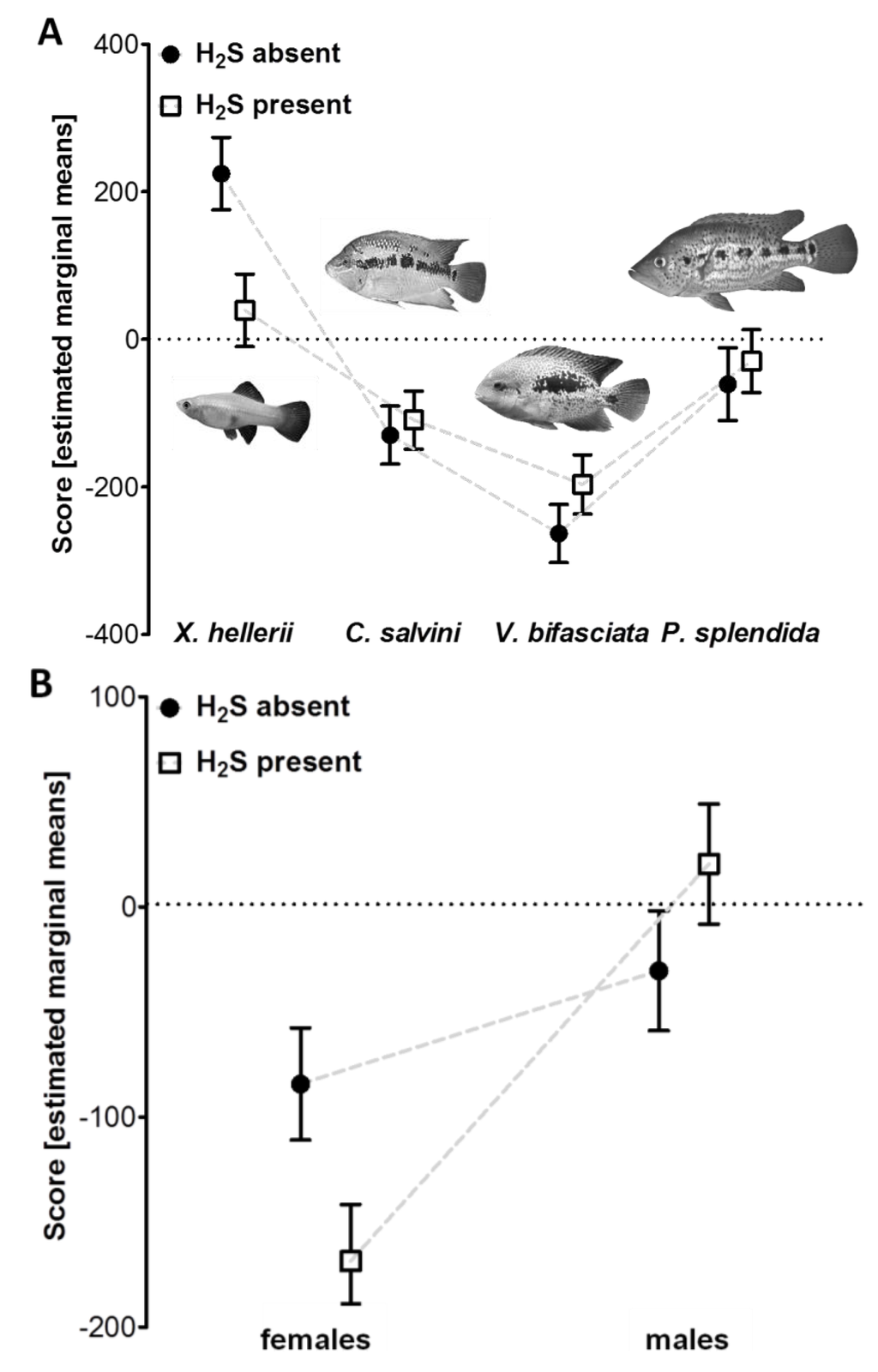 Predator Avoidance in Extremophile Fish