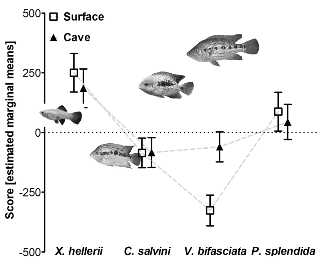 Stimulus Science Examples