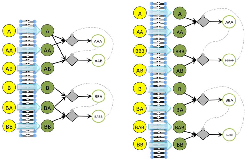 Growth and Division in a Dynamic Protocell Model