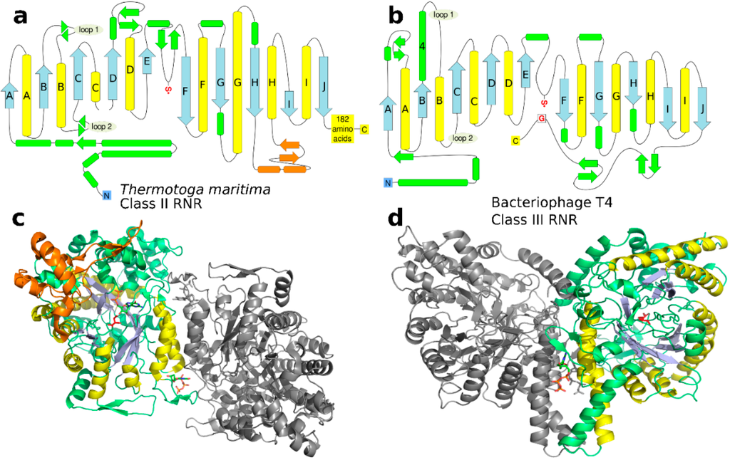 Life Special Issue The Origins And Early Evolution Of Rna