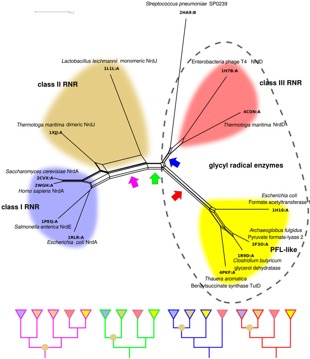 Life Special Issue The Origins And Early Evolution Of Rna