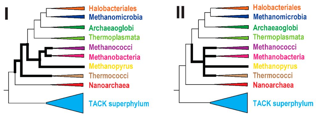 Life | Special Issue : Archaea: Evolution, Physiology, and Molecular ...