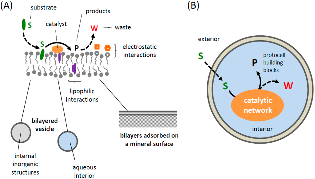 Life | Special Issue : Protocells - Designs for Life